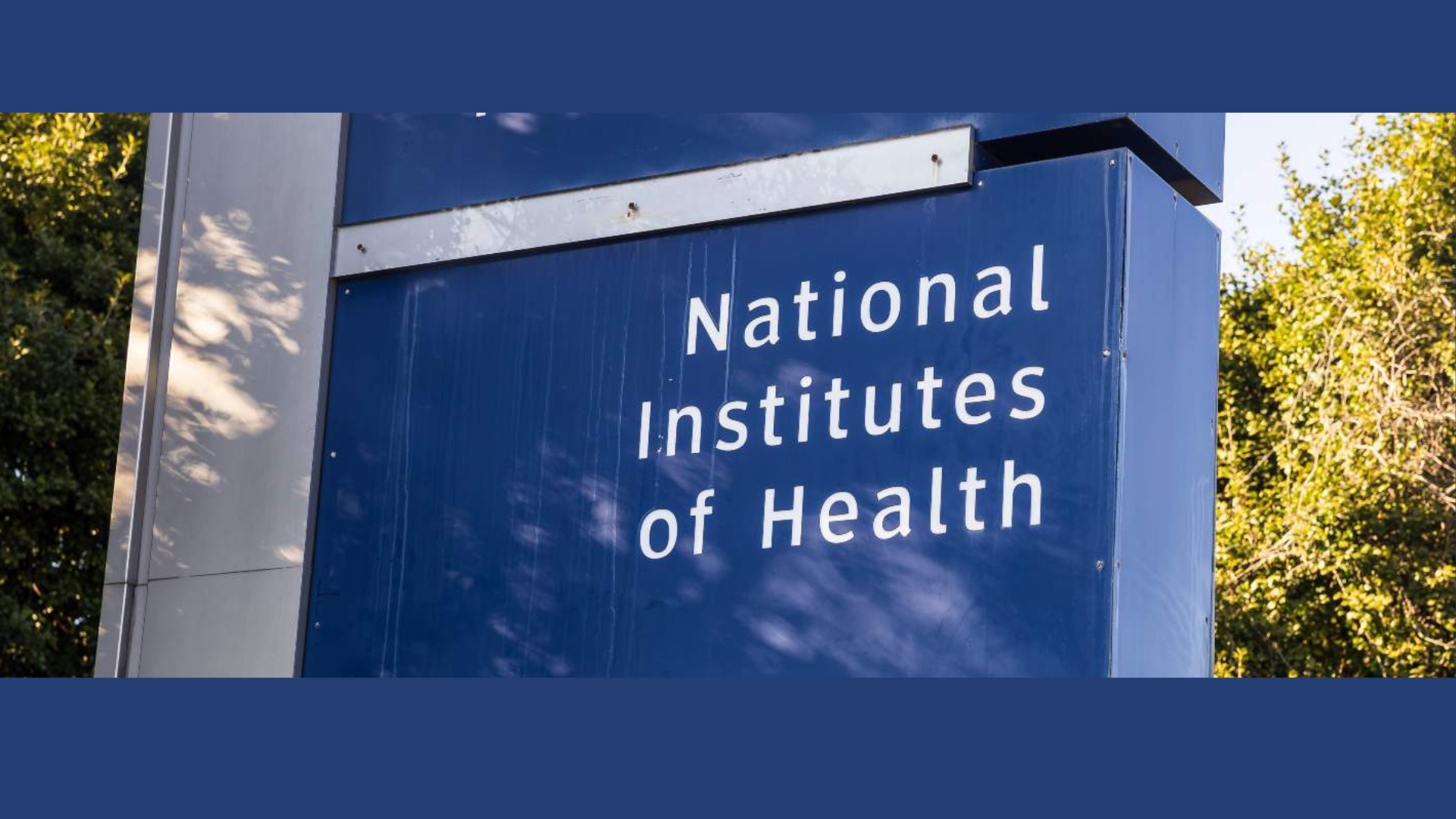 Navigating NIH Policy Changes: The AUC Woodruff Library Is Here to Help ...